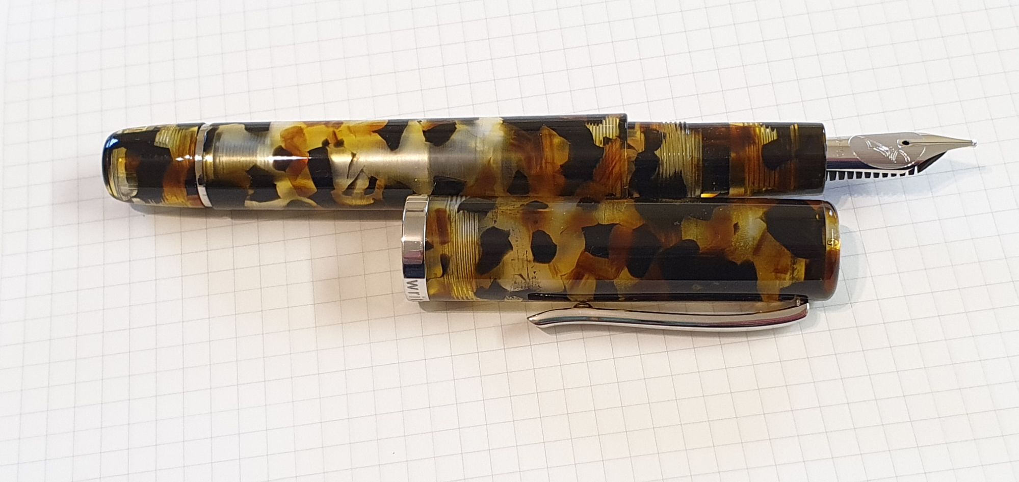 The taming of the Scribo, Write Here Africa fountain pen. | Fountain ...